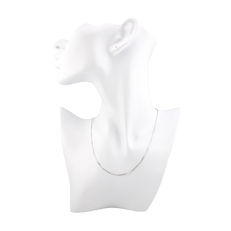 EEMedallion Necklace | Silver – EESystem